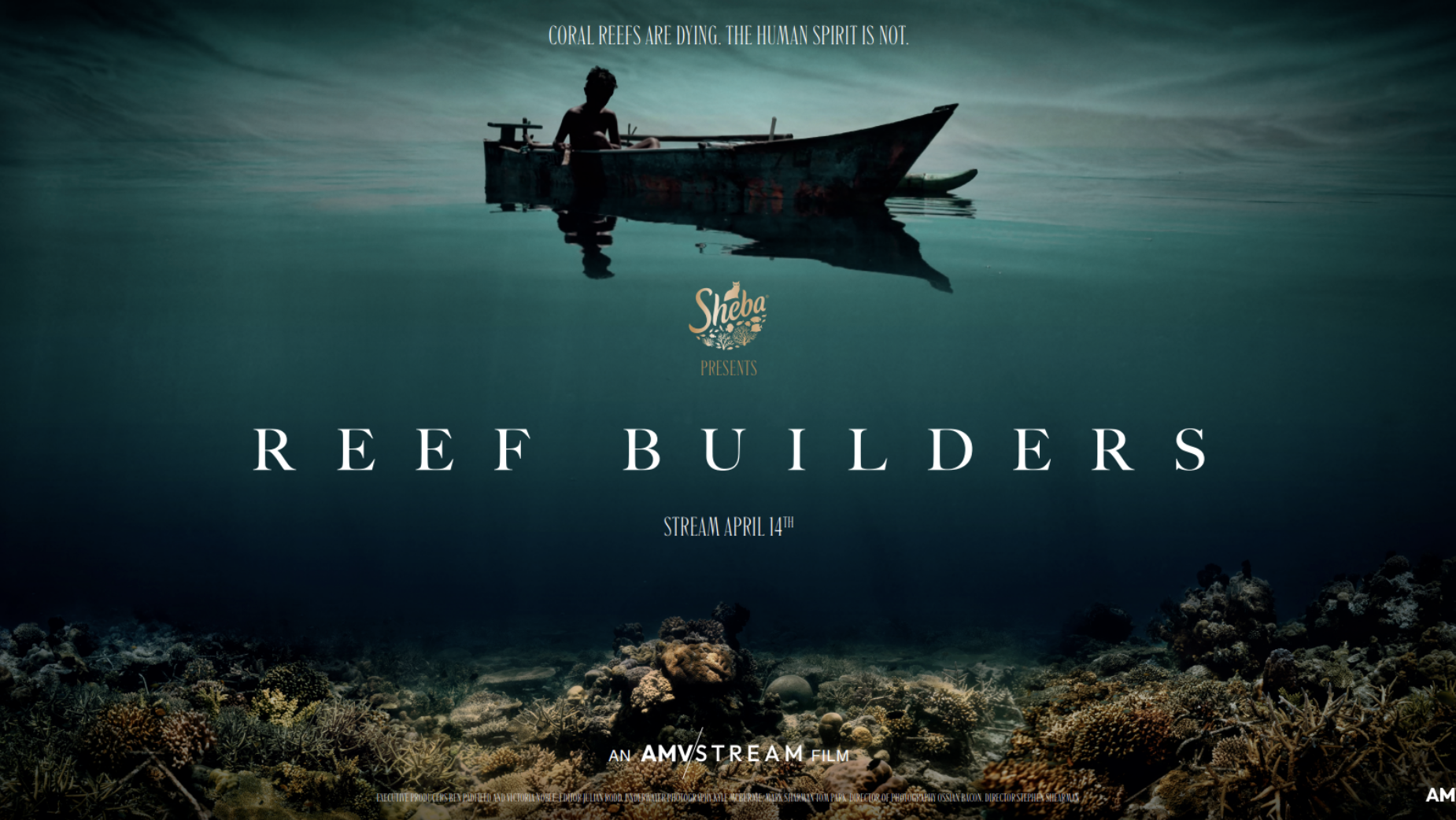 'Reef Builders' Documentary Chronicles One of the World’s Largest Coral ...