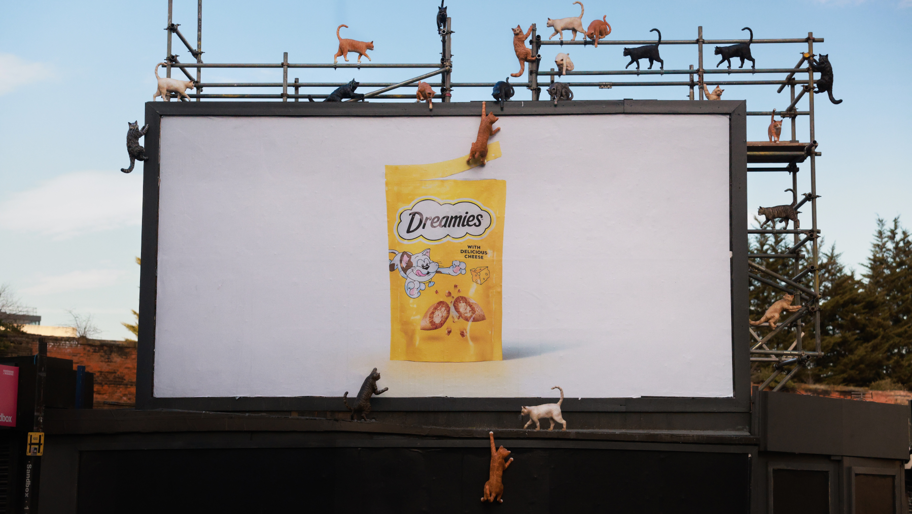 Cats Go to Extreme Lengths for DREAMIES Treats | LBBOnline