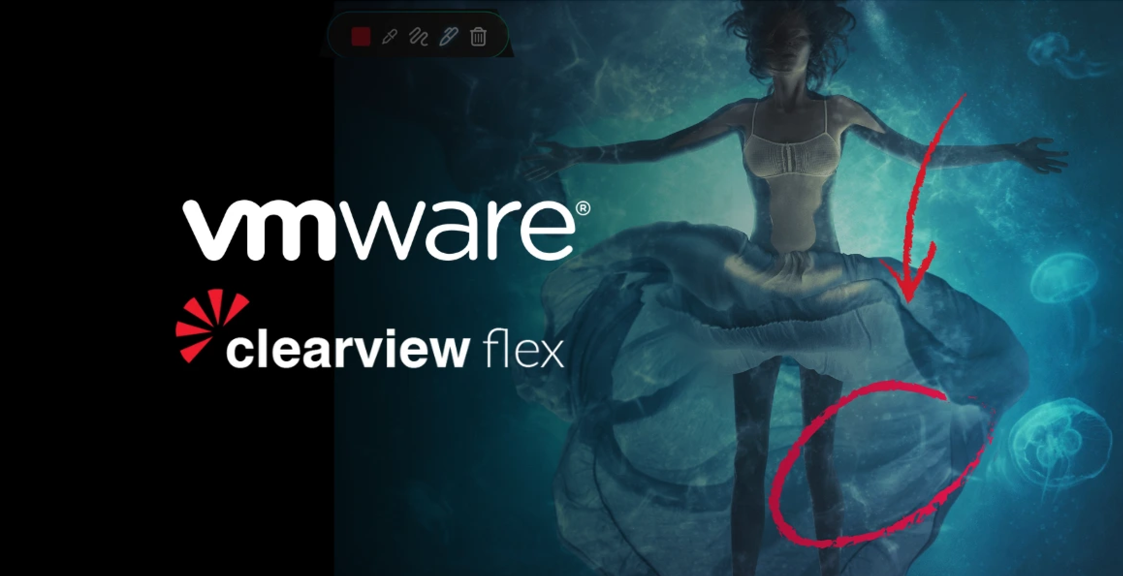 How to Use ClearView Flex on VMware | LBBOnline