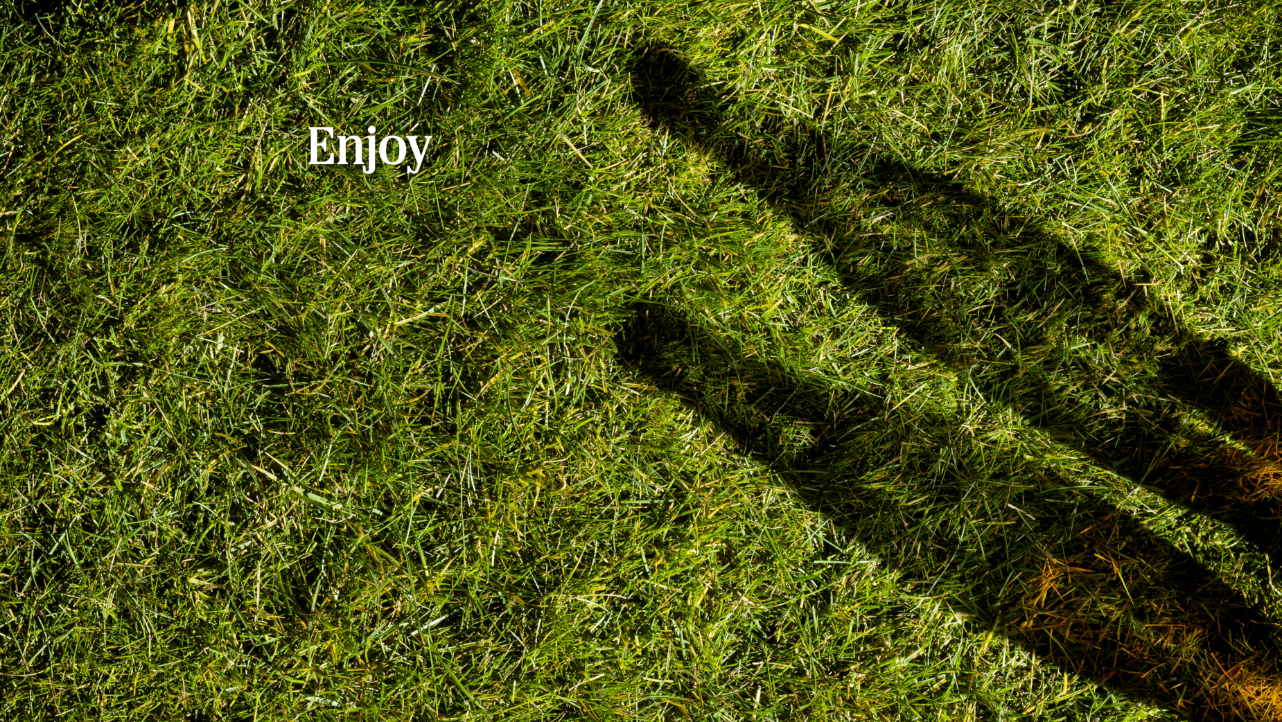 Coca-Cola's Summer Shadows Celebrate 110 Years of an Icon | LBBOnline