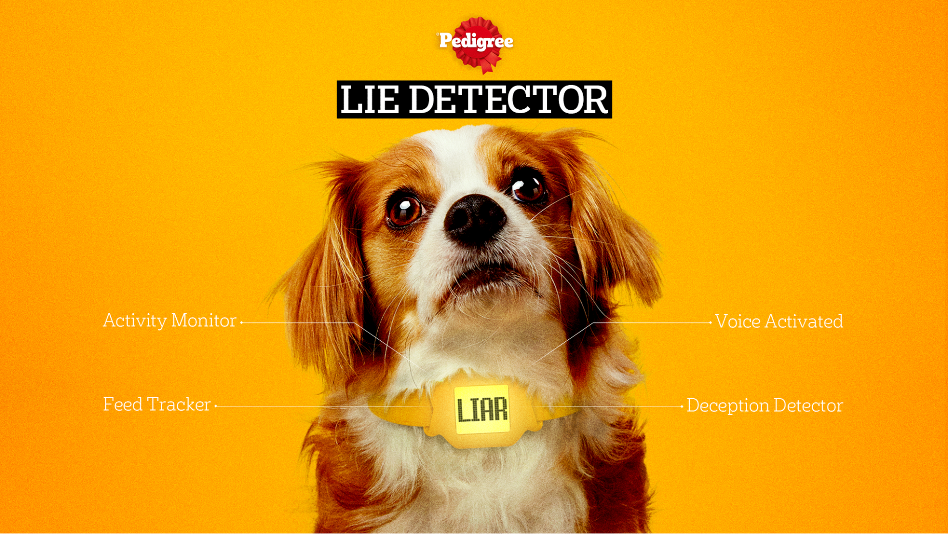Colenso BBDO Brands Your Dog A Liar with Pedigree 'Lie Detector ...