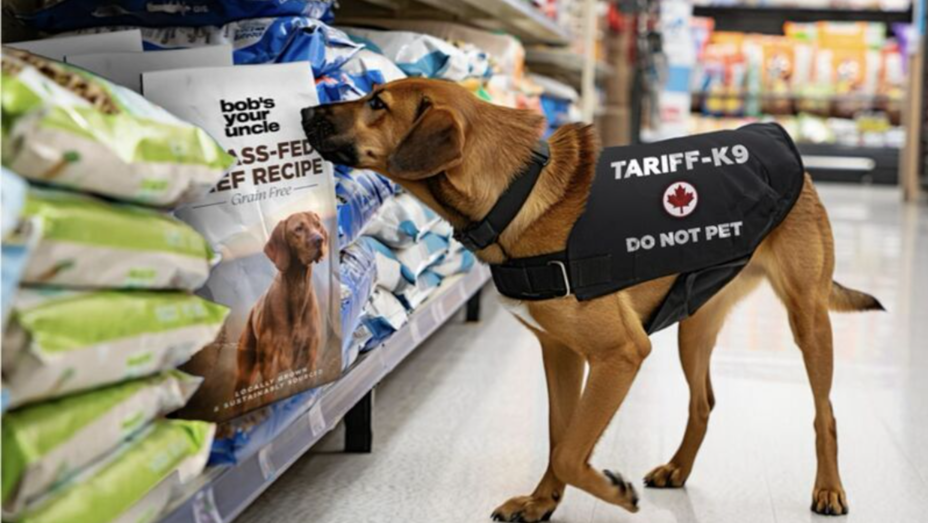 First-Ever Tariff Sniffing Dog Supports Canadian Brands | LBBOnline