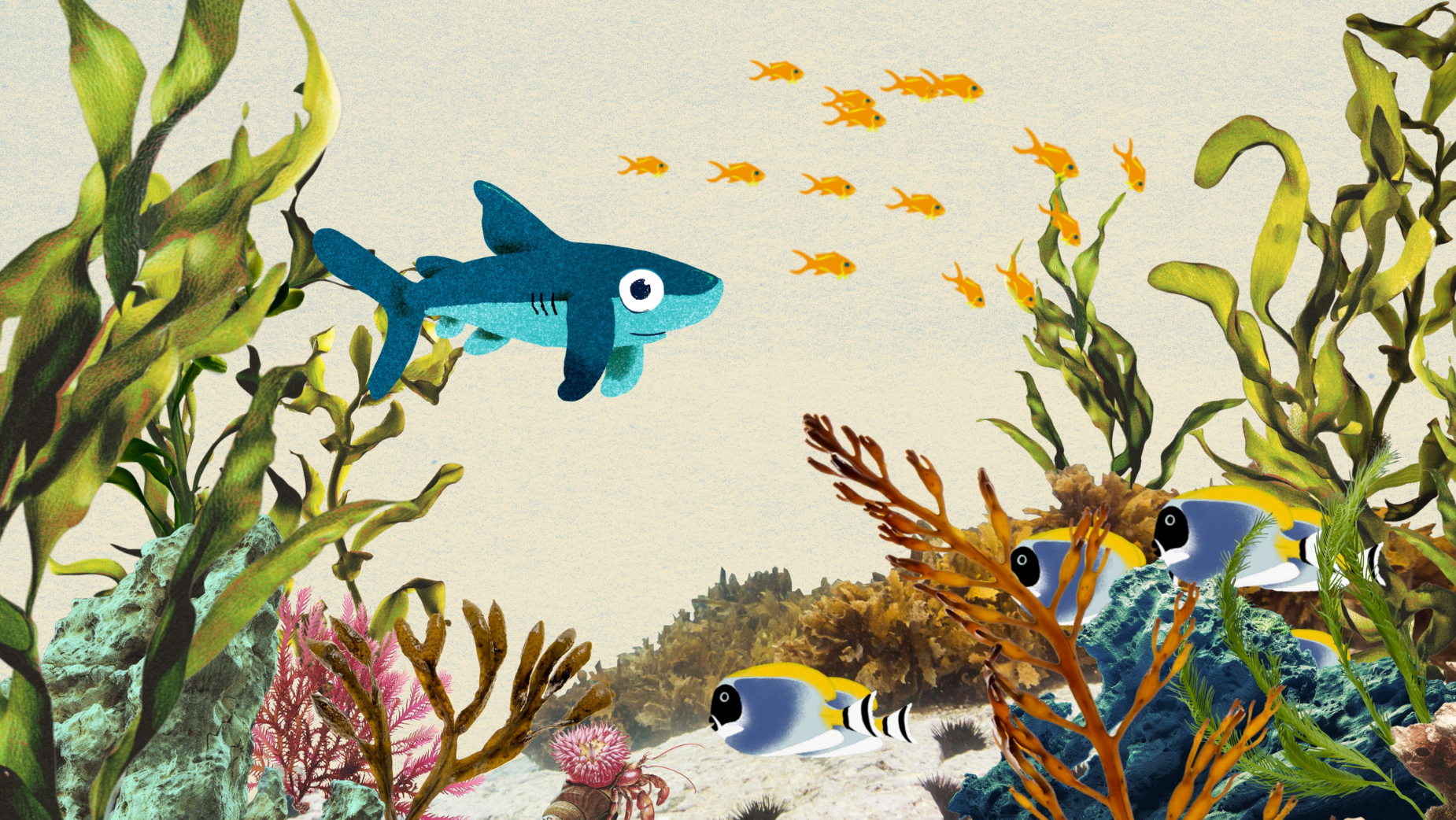 Dropbear and Greenpeace Expose Hidden Cost of Long Line Fishing in ...