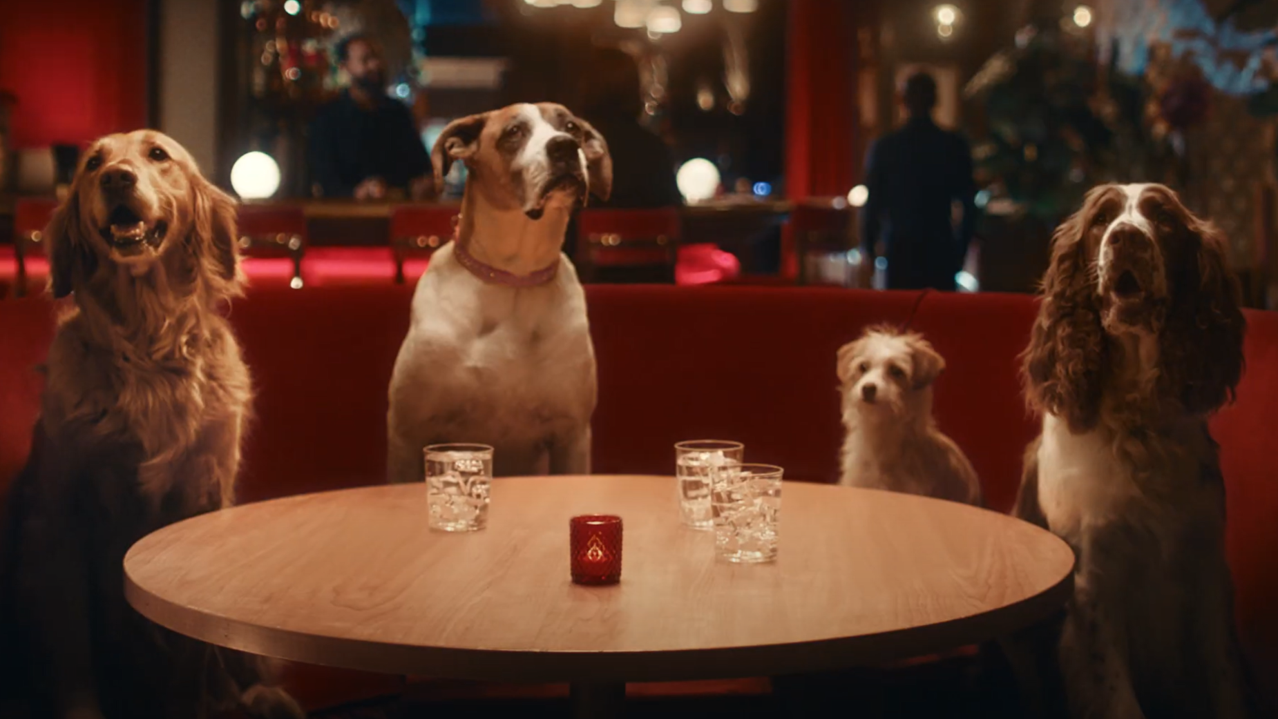 Talking Dogs Give Honest Review of Pup-Peroni Beef Snacks | LBBOnline