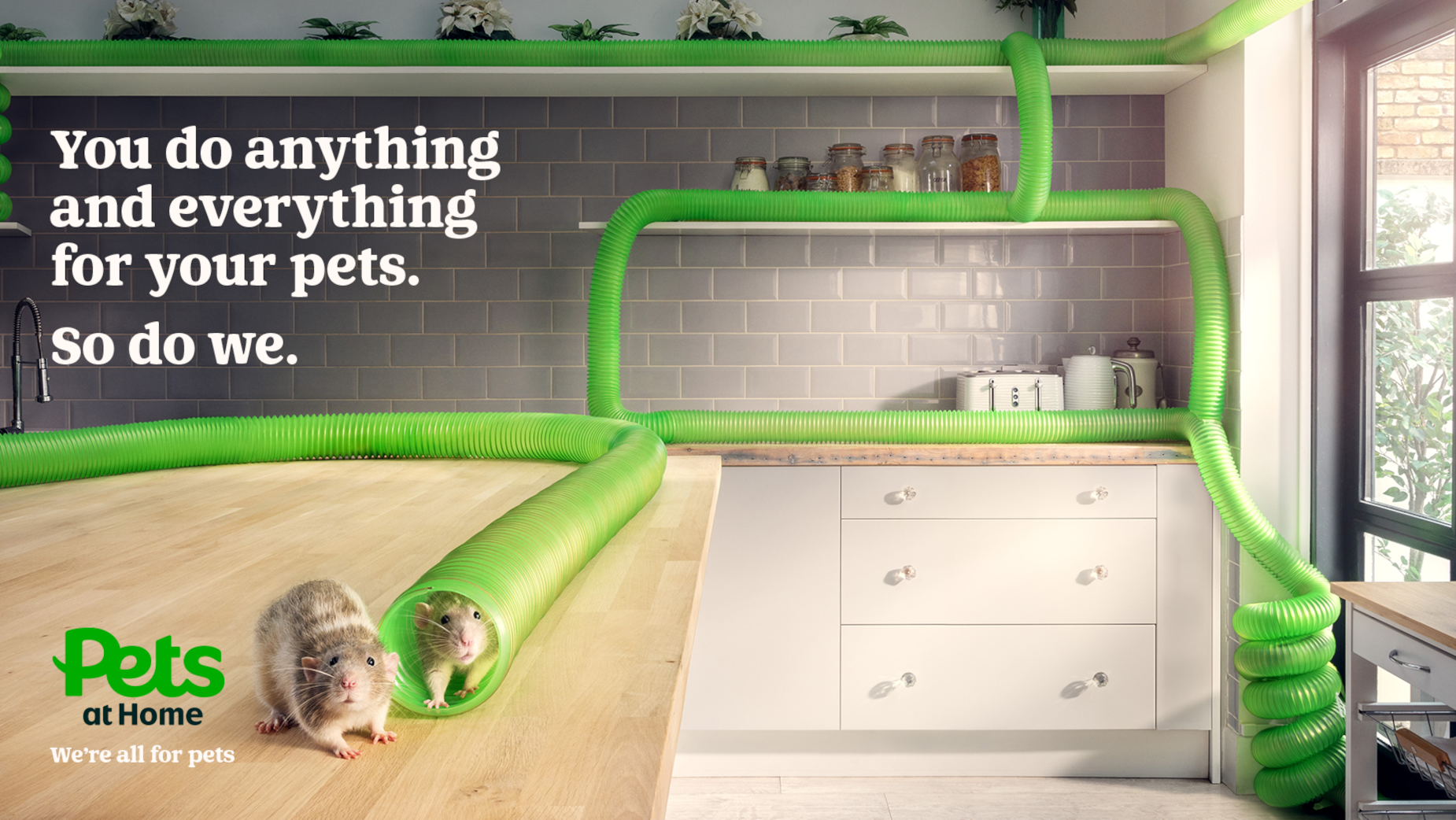 Pets at Home Captures Gloriously Obsessive Love Brits Have for Their ...