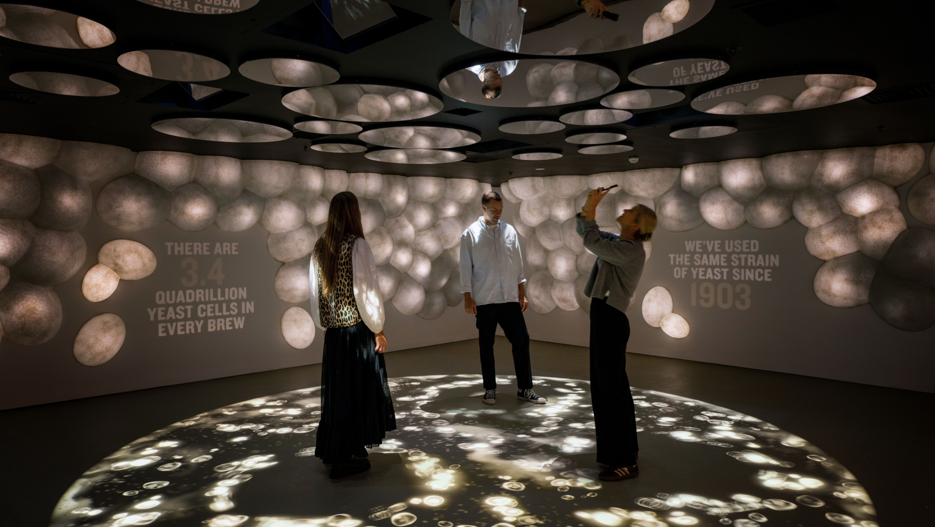 Guinness Storehouse Uses Science Storytelling to Bring Yeast Room to ...