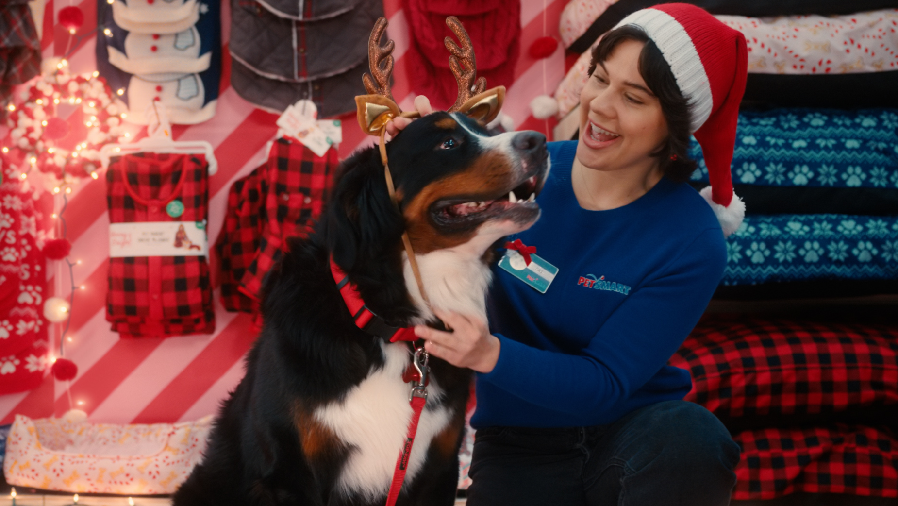 PetSmart Jumpstarts the Joy and Delivers Tail Wags for the Holidays ...