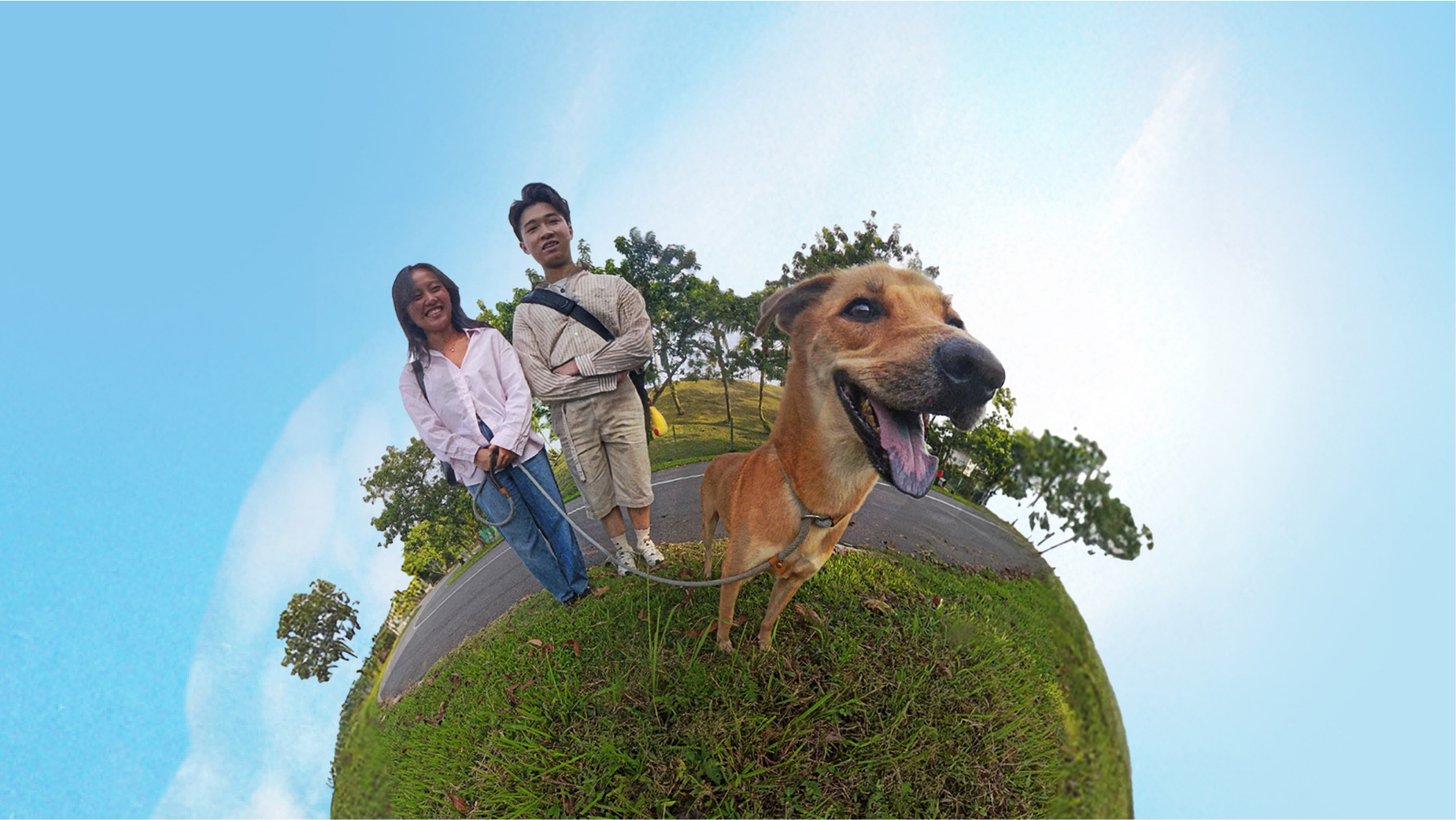 SOSD Street Pups Strut Into the Festive Season | LBBOnline