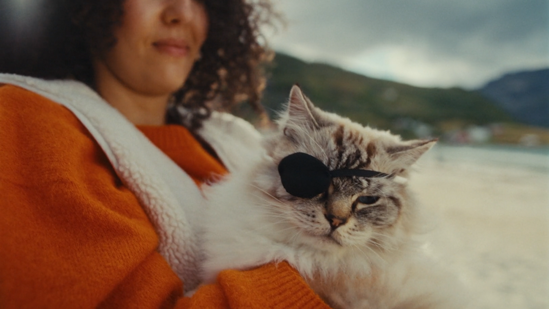 MyCamper Turns Mishaps into Adventures to Celebrate Joy of the ...