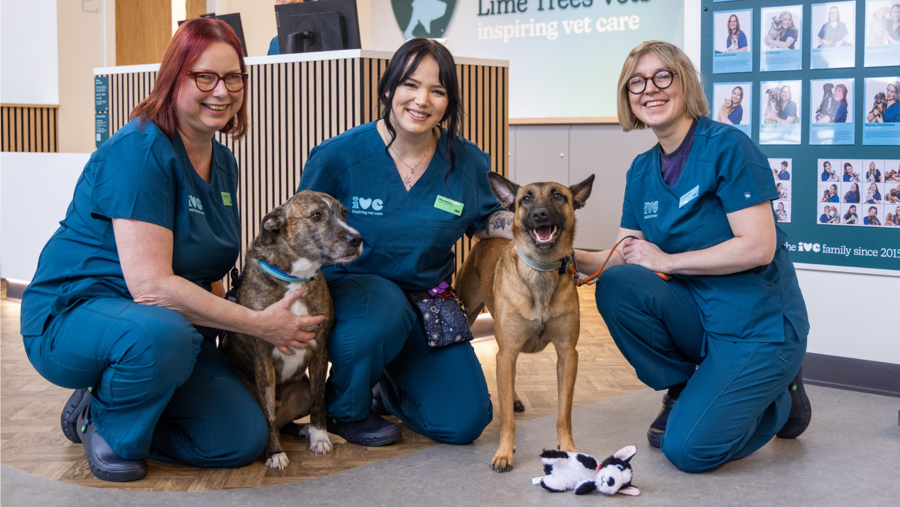 IVC Evidensia Introduces New Unified UK Brand: inspiring vet care ...