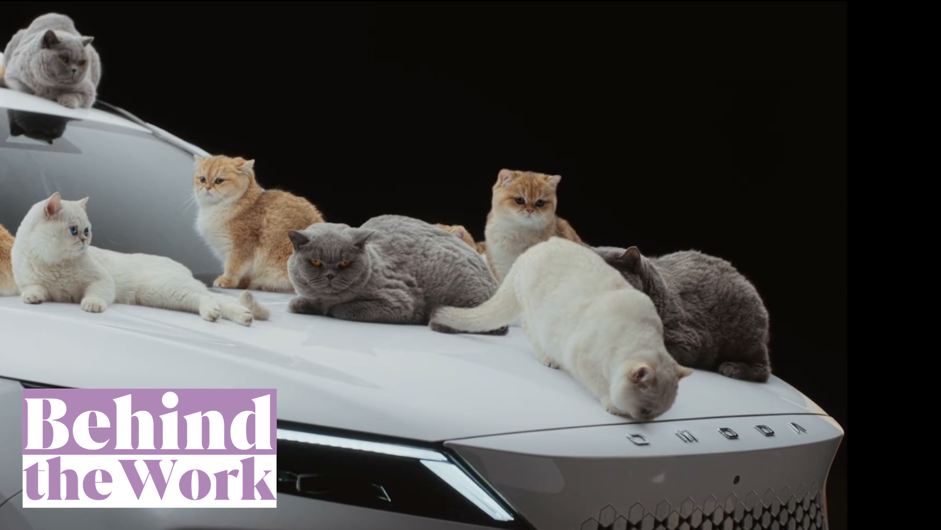 Uncommon on Bringing Thespian Cats and Flower Cannons to Automotive ...