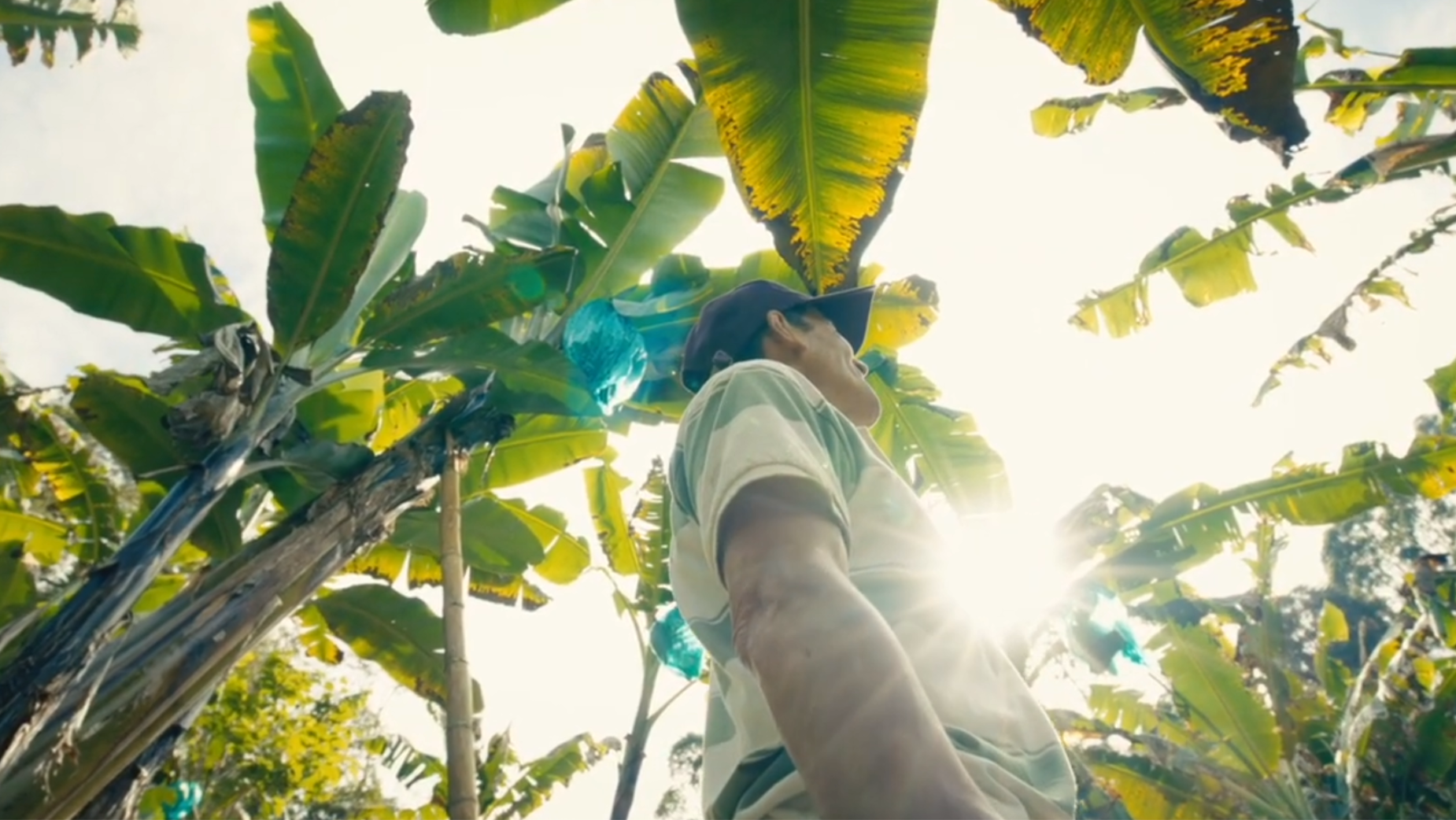Documentary 'GROUNDSWELL' Highlights Regenerative Agriculture on ...