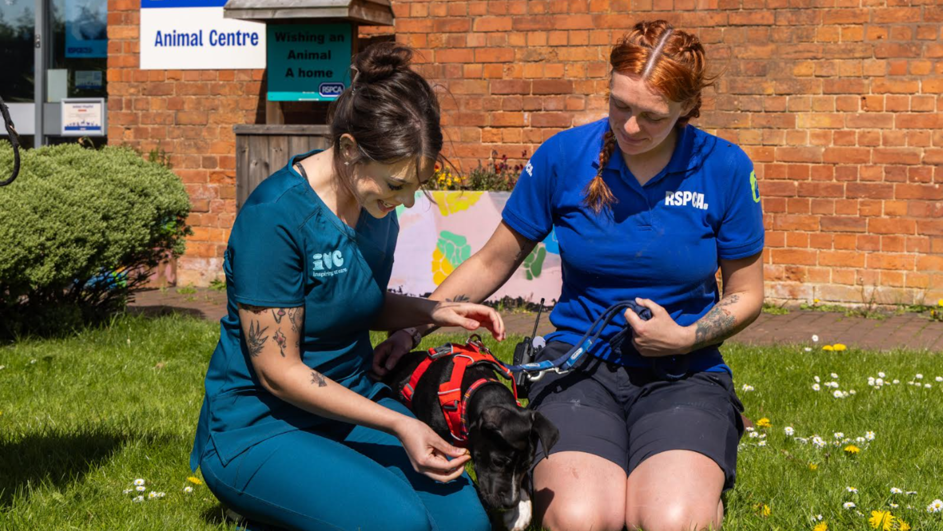 Inspiring Vet Care and RSPCA Launch Multi-year Partnership | LBBOnline