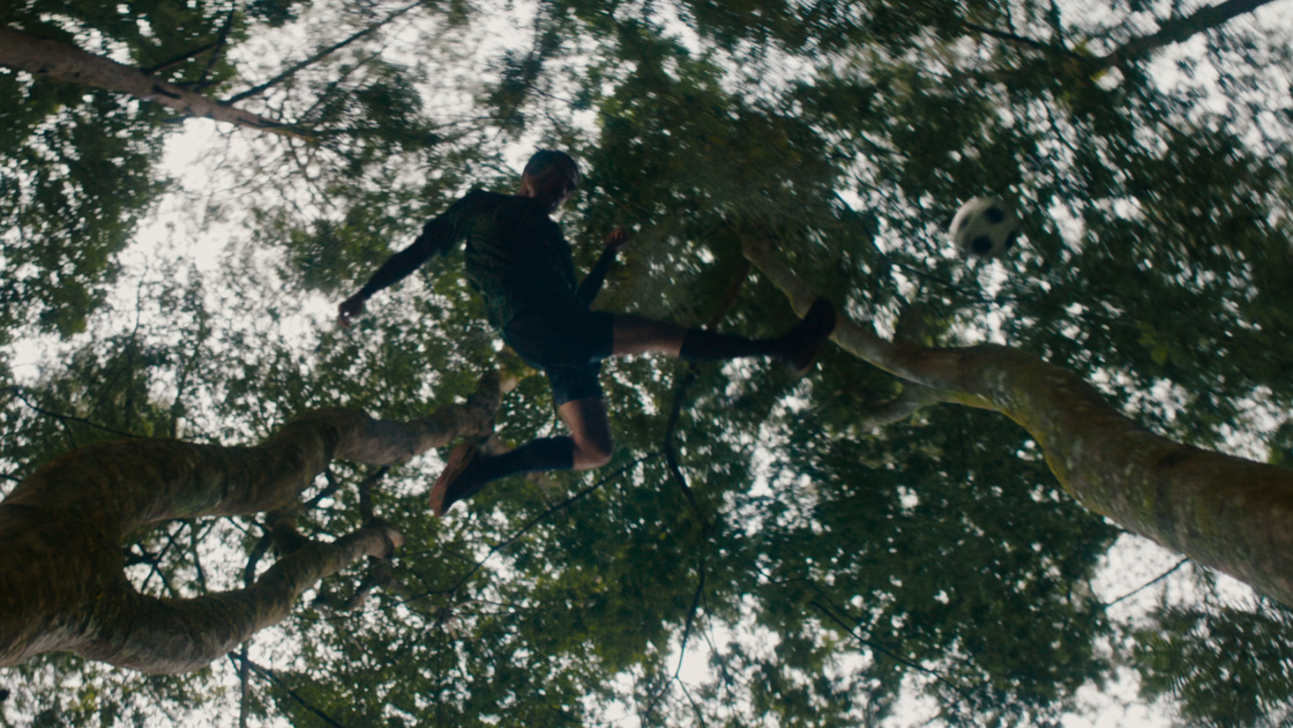 WWF's 'Team Forest' Turns Rainforest Canopy into a Pitch | LBBOnline