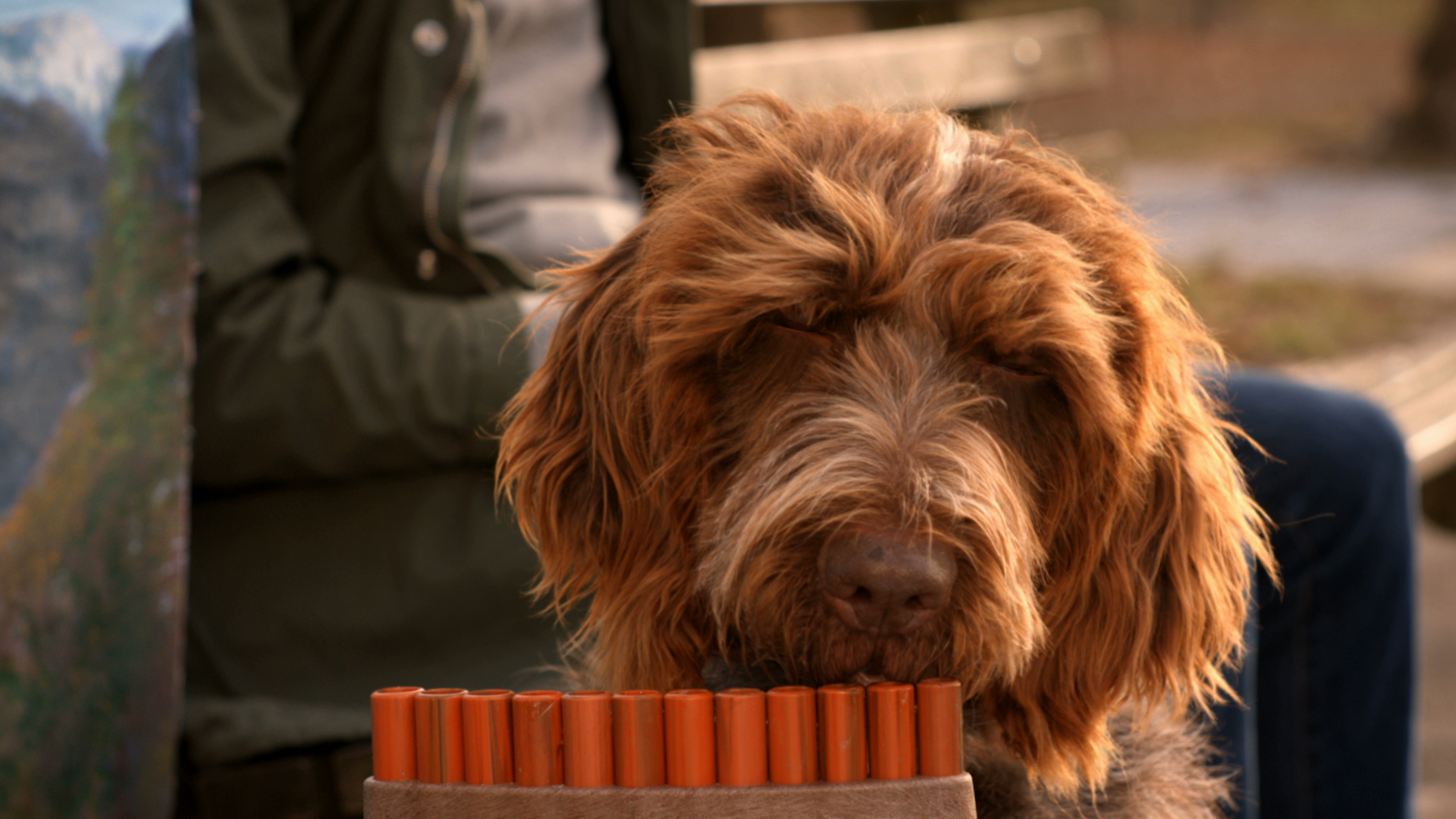 The Play Room's Adam Spivey Cuts MARS' Brilliant Pan Pipe Pooch Spot ...