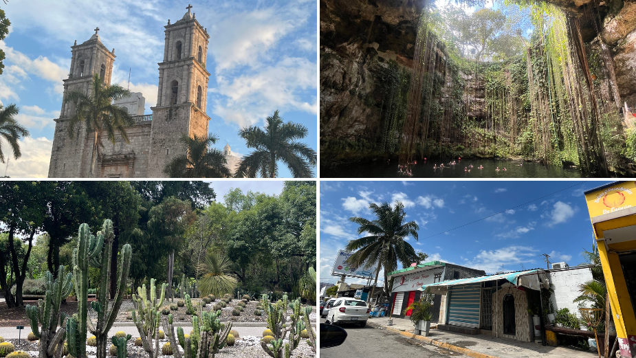 Unlocking Creative Potential: Why ALTERED.LA Recommends Mexico for Film ...