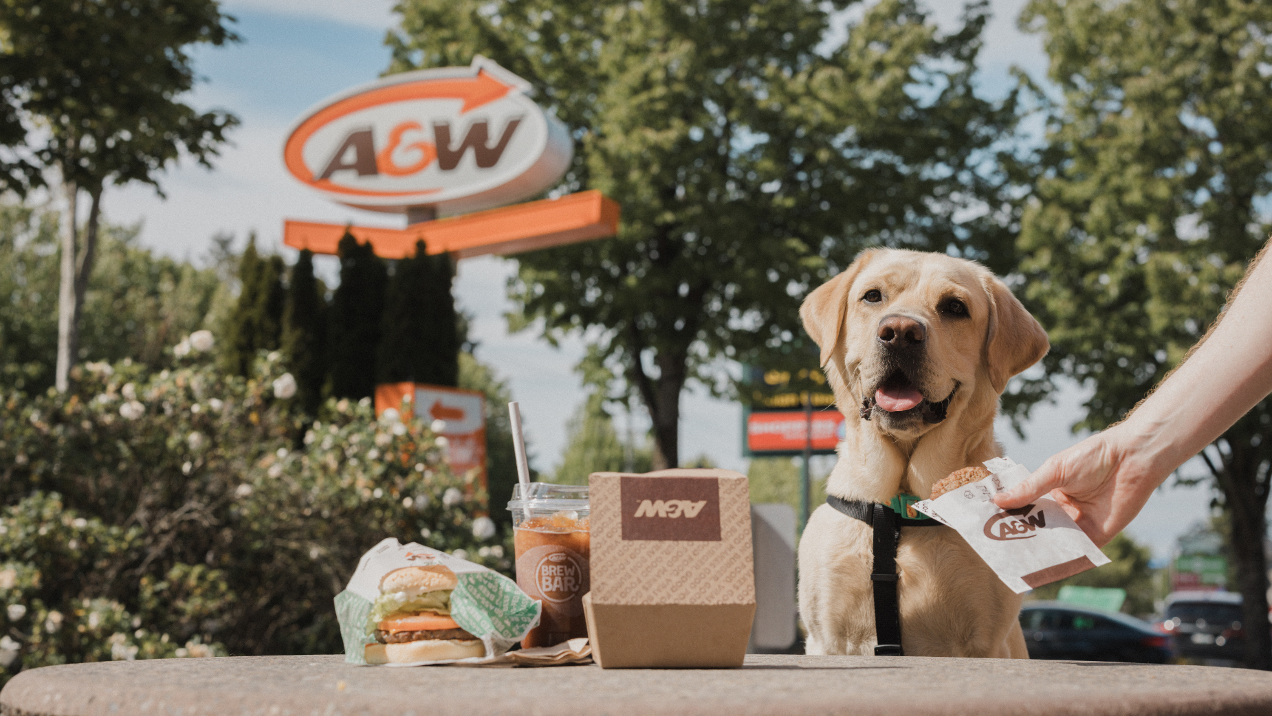 A&W Becomes the First Canadian QSR to Introduce the Pup Patty | LBBOnline