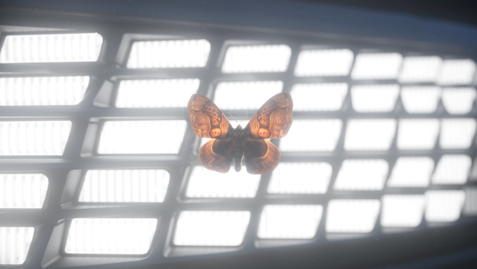 Audi Falls in ‘Love at First Light’ with New Campaign | LBBOnline