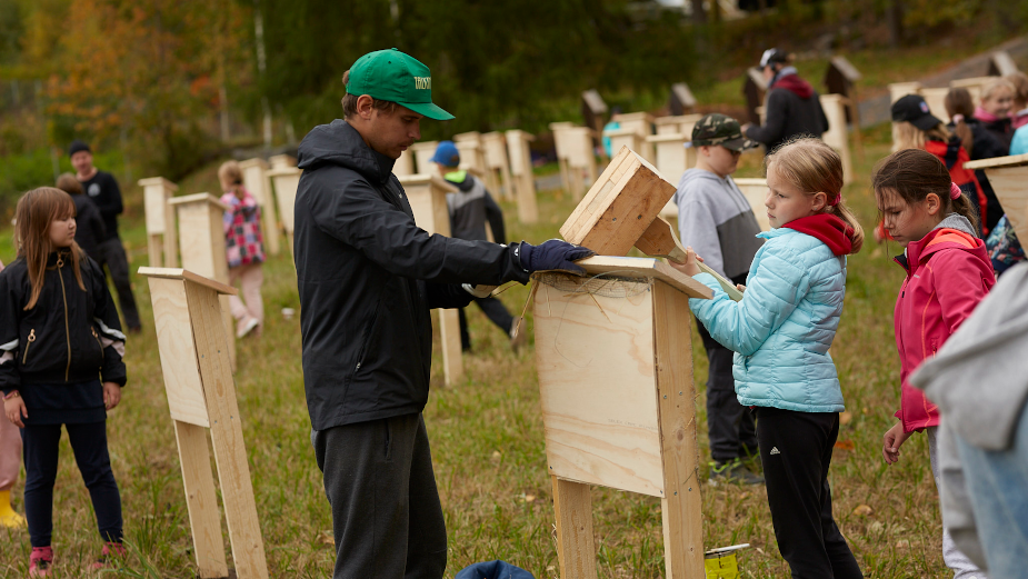 Un-bee-lievable! Finland Opens the World's Largest 'Air Bee and Bee ...