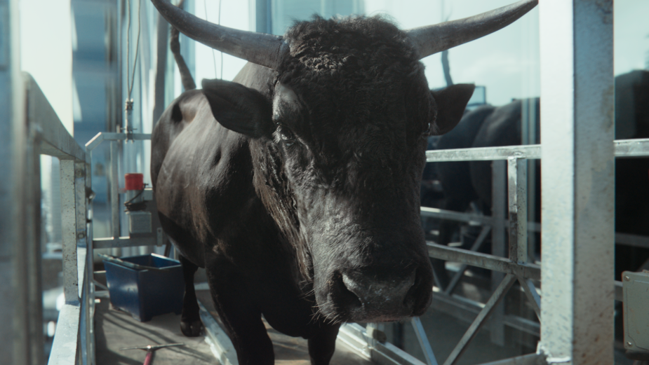 MoneySuperMarket Sponsors ‘Film on 4’ in Major Partnership | LBBOnline