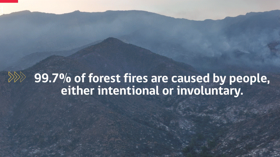 Real Life Images Capture Devastating Effects of Chilean Forest Fires ...