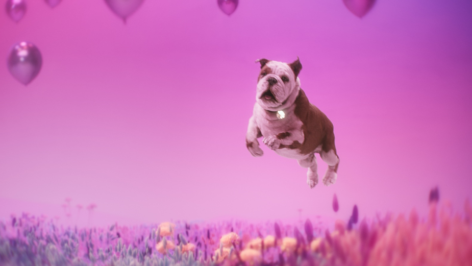 Take the Leap into Churchill Insurance's Ultimate Chillscape | LBBOnline