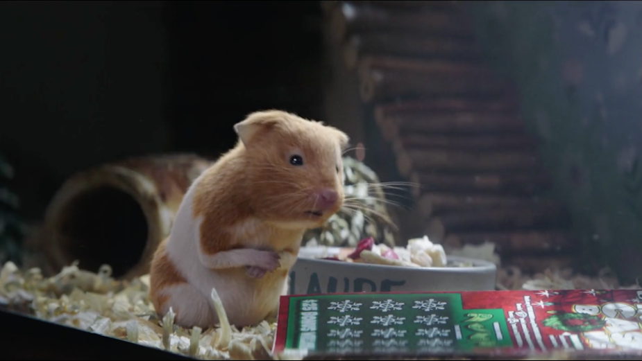 Claude the Hamster Hopes for a Lucky Scratch in Holiday Love Story for ...