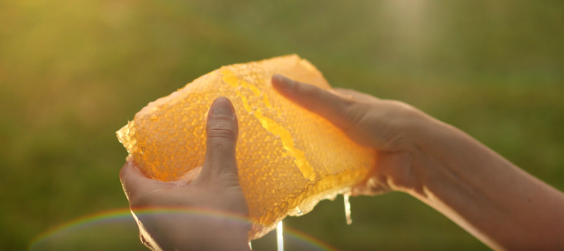 Three Generations of Empowered Female Farmers in New Spot for Rachel’s ...