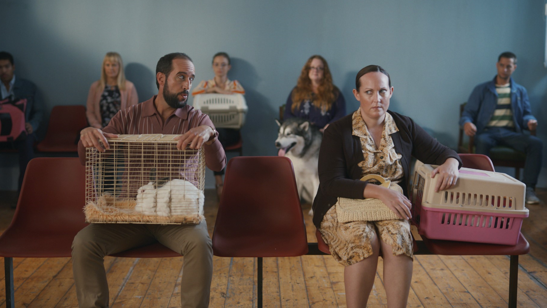 Revel in the Relief of Tackling Insurance in Confused.com Campaign ...