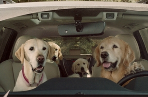 The Barkleys Are Back: Subaru Unveils All-New 'Dog Tested. Dog Approved ...