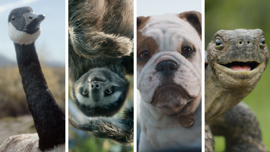 Are You Fur Real? The Detail-Oriented Craft of Creating Lifelike ...