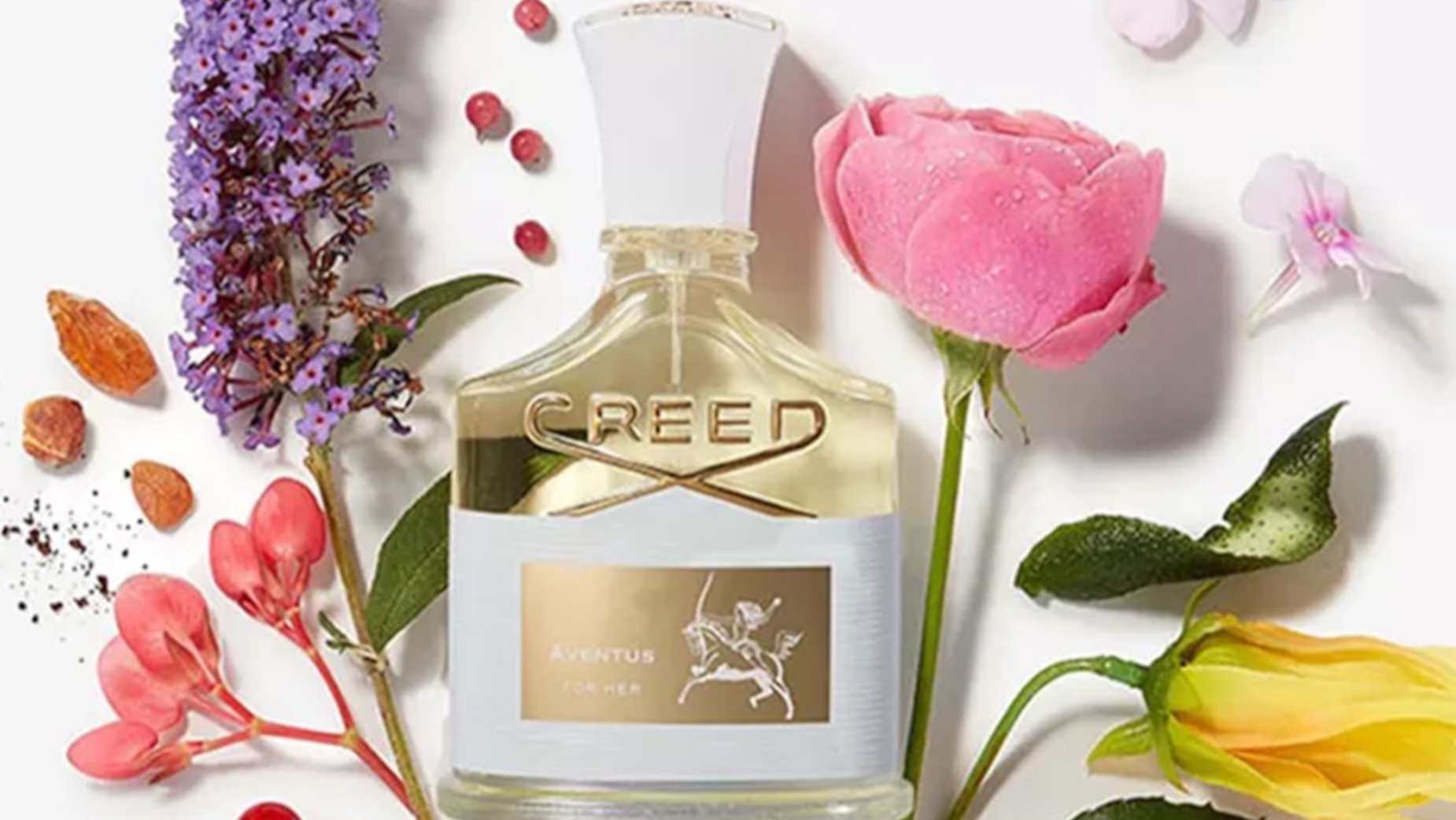 Fragrance and Retailer Creed Appoints RocketMill as Integrated Media Agency | LBBOnline