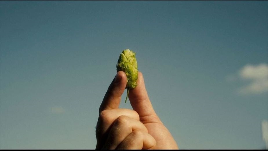 We Are Covert Announces Partnership with Dan Moran Colour | LBBOnline