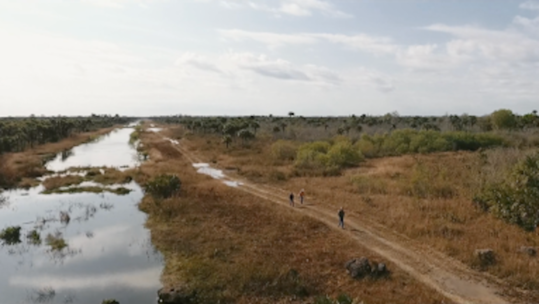 Diamond View Studios Snags Gold, Silver and Judge's Choice Addy Awards ...