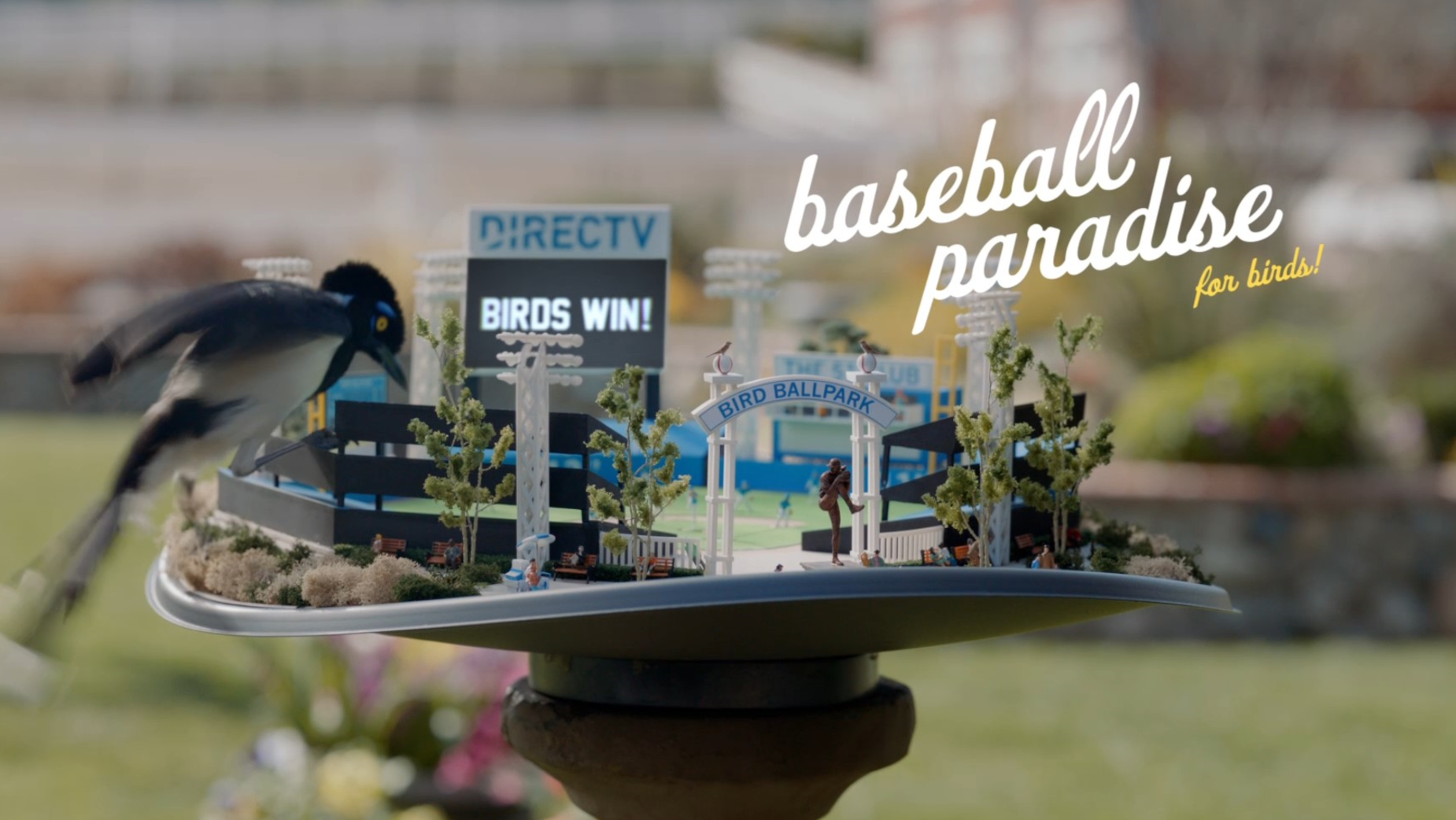 Legendary Pitcher Randy Johnson Builds Safe Places for Birds to Watch ...