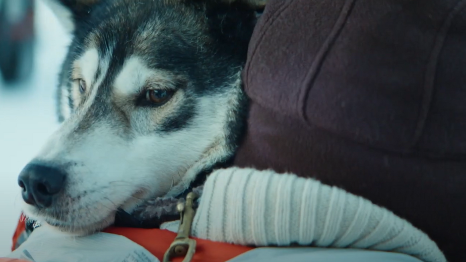 Father and Son Go on Journey of a Lifetime with ‘Husky Frida’ in Dutch ...
