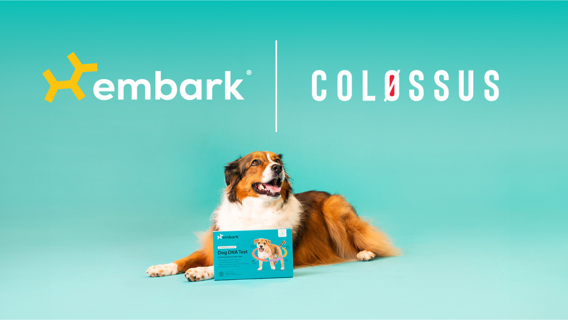 Embark Veterinary, Inc. Selects Colossus Creative Co. as Agency of ...