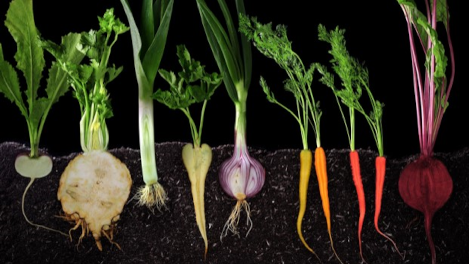 Finding the Beauty in Food with FoodFilm | LBBOnline