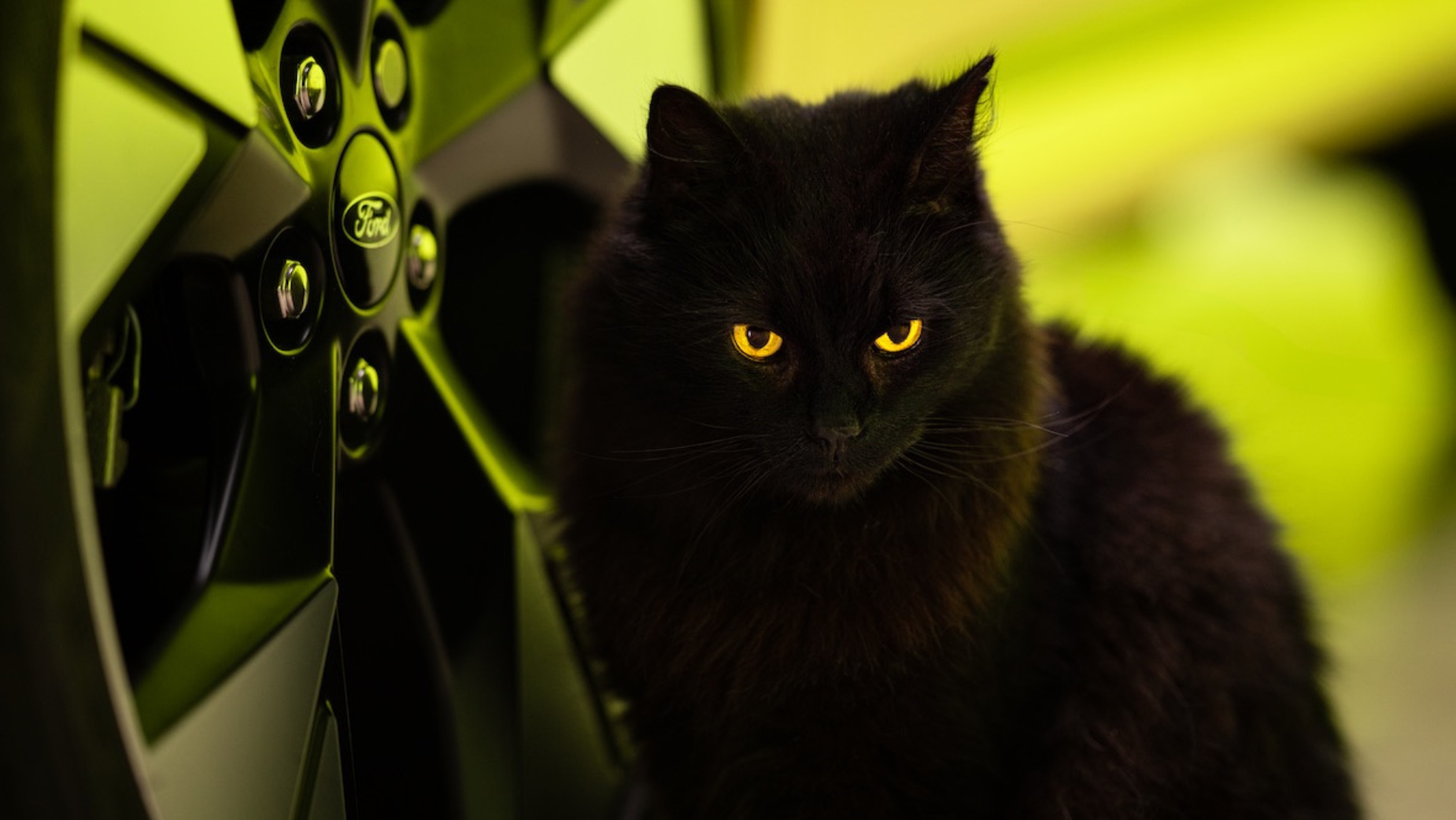 Ford and Born Social Give ‘Big Cat Energy’ in Puma Gen-E New Model ...