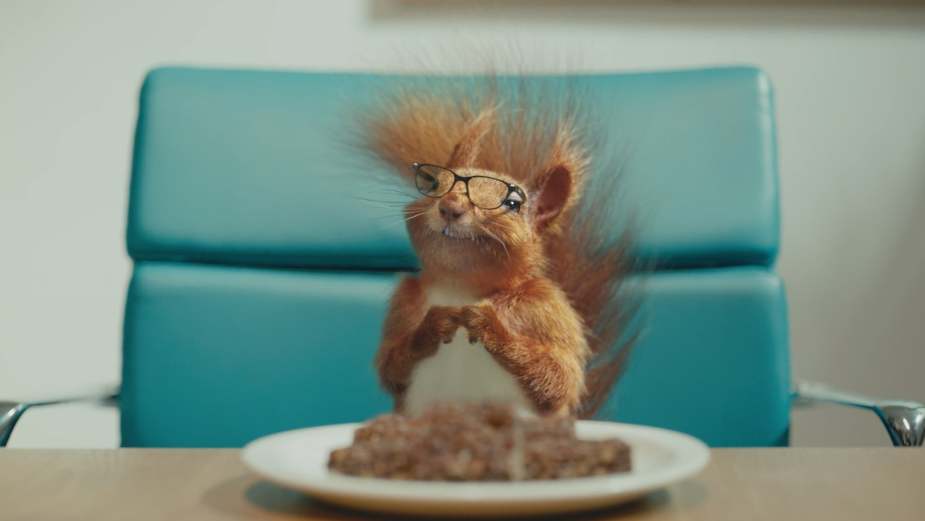 Graze Welcomes a Furry New Edition in Cheeky Fourth Wall Breaking Spot ...