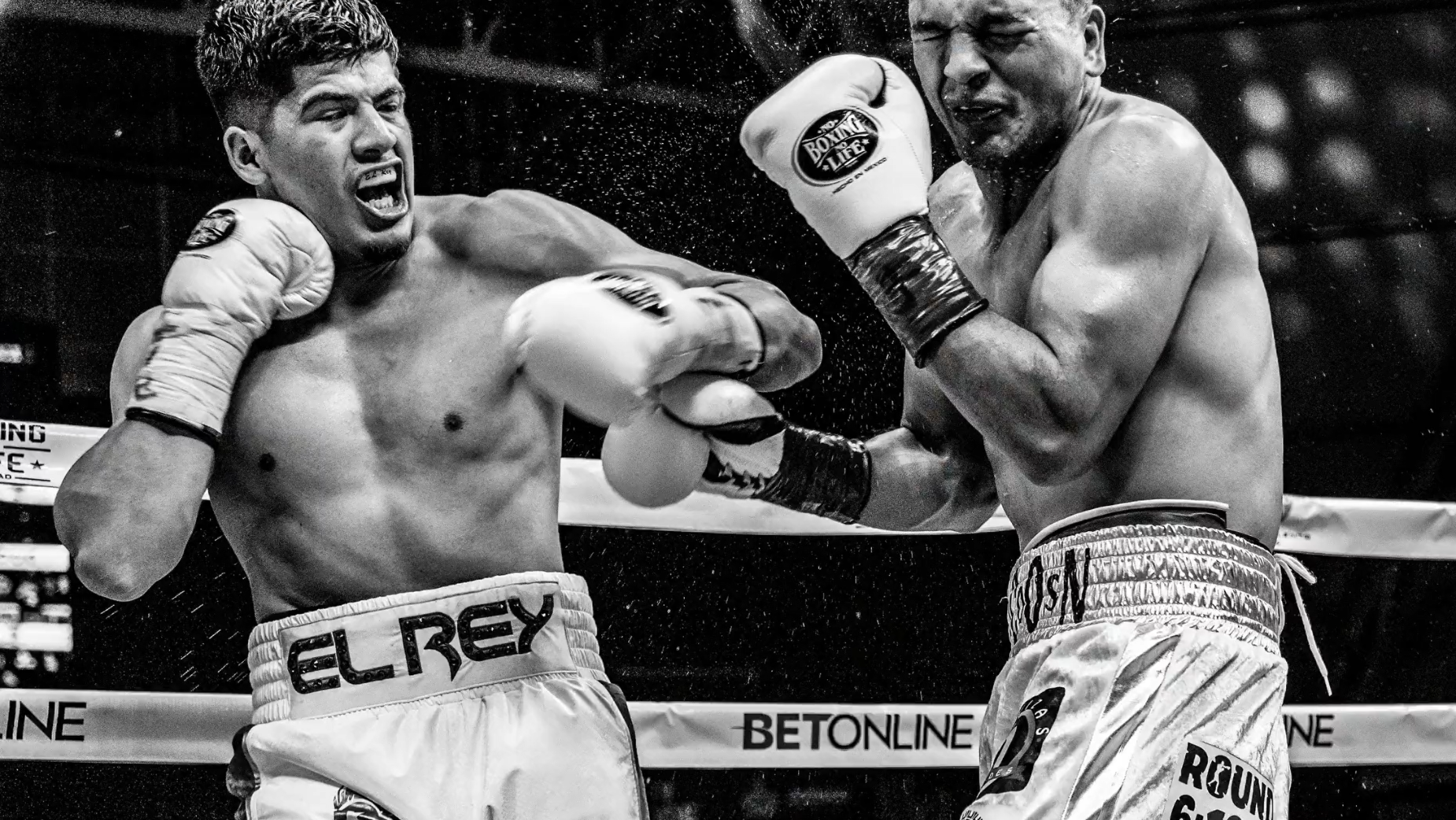 HAYMAKER Announces Its Partnership with Professional Boxer Lazaro “El ...