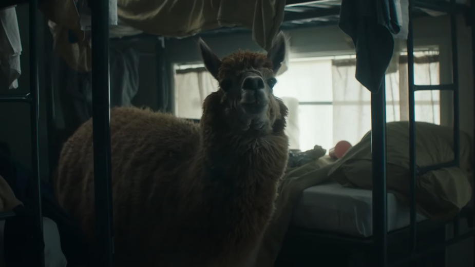 Infamous Hostel Hans Brinker Embraces Legendary Reputation in Rebrand ...