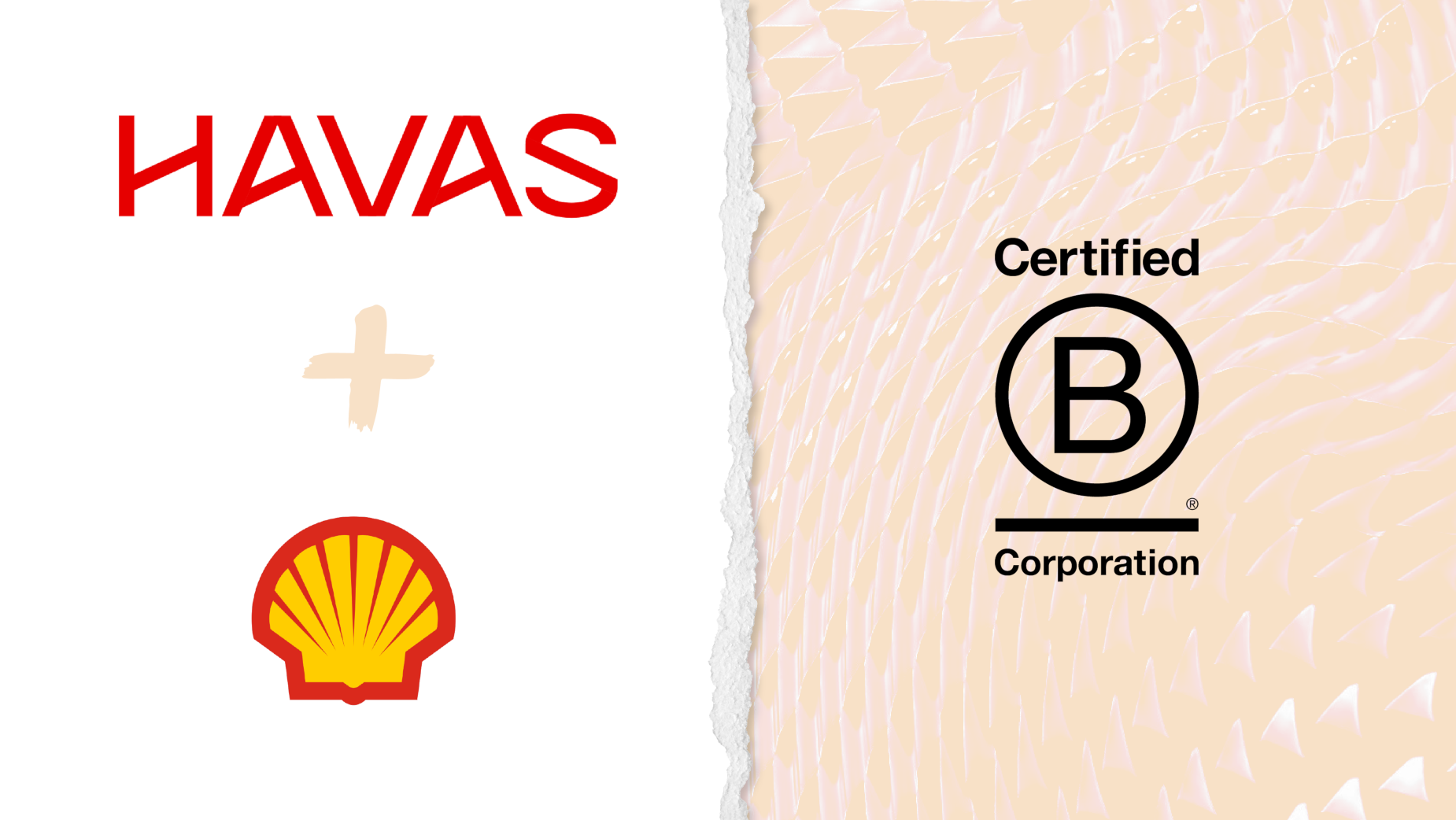 The Real Cost of Compromising Values: What Havas’ B Corp Revocation ...