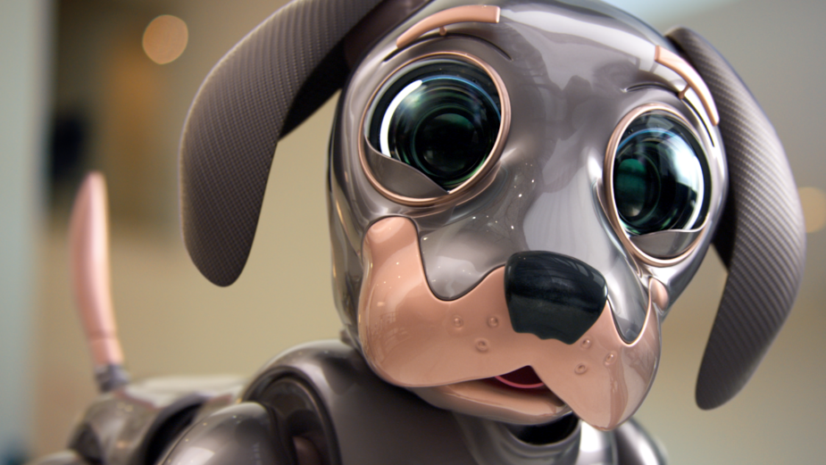 Robo Dog New Sony Aibo Robot Dog Demonstrated At CES 2018 Geeky