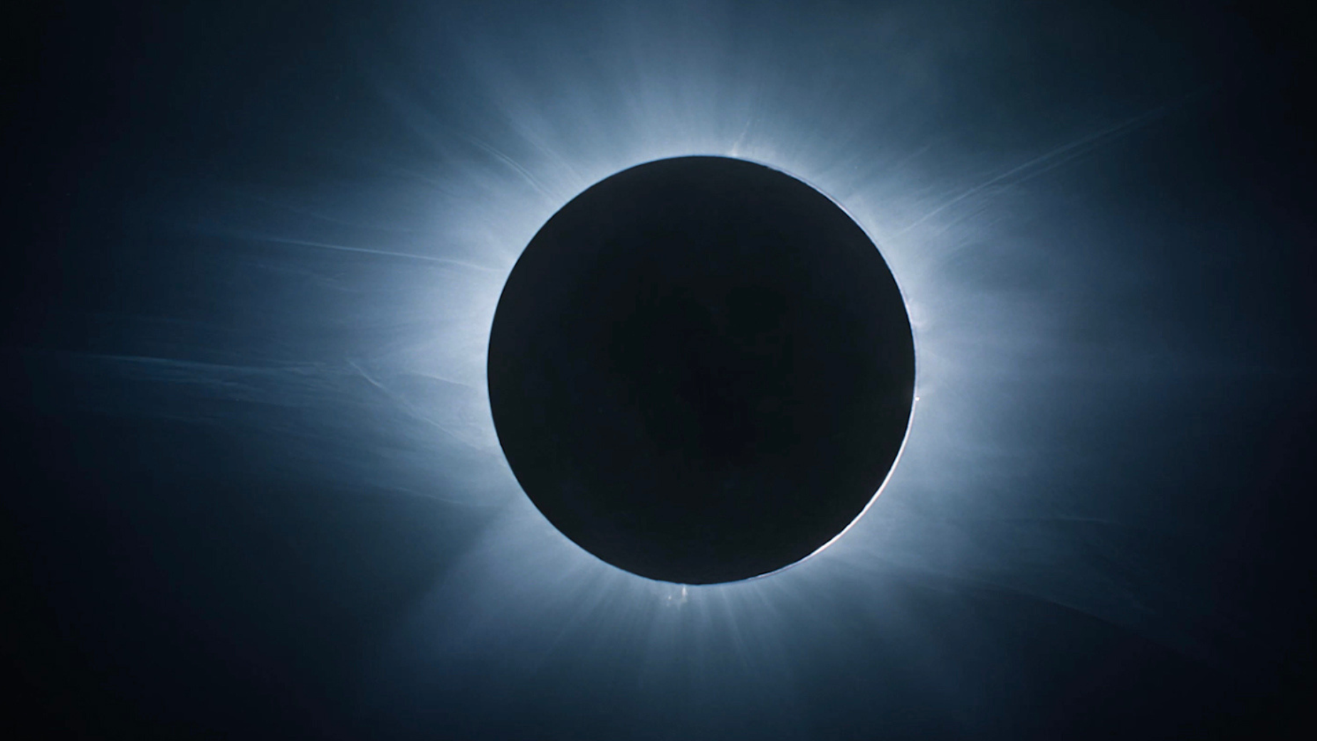 Daniel Askill's Avant-Garde Film Hits Screens Today With A New Trailer ...