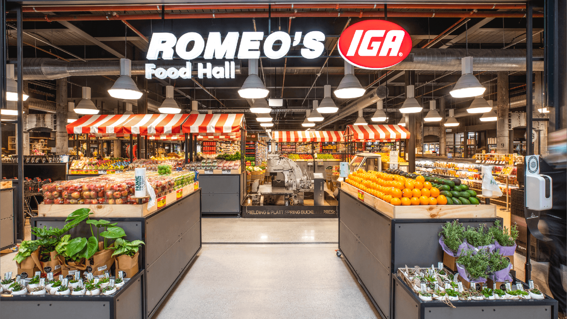 IGA Appoints Special as Lead Brand and Creative Agency | LBBOnline