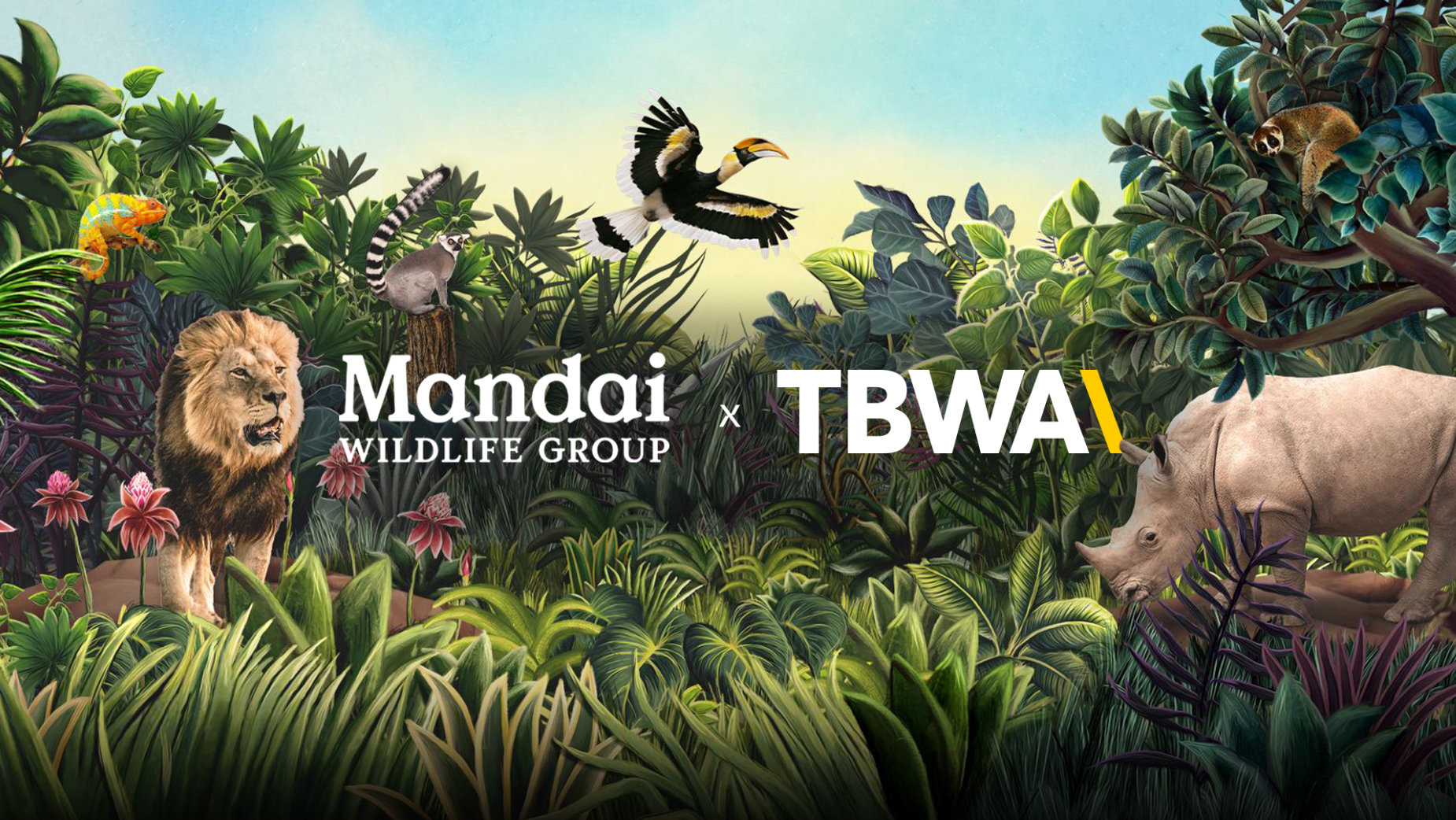 Mandai Wildlife Group Ventures into New Creative and Brand Partnership ...