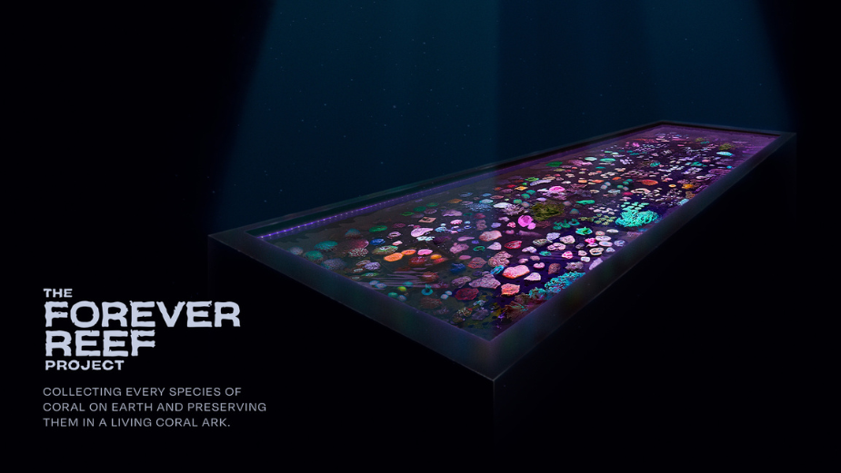 The Forever Reef Project Created by M&C Saatchi Group and the Great ...