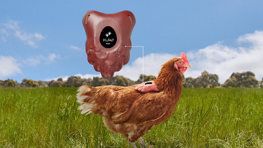 VMLY&R Wins Gold Lion at Cannes for Honest Eggs: Fitchix | LBBOnline