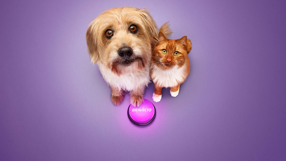 MSD Animal Health Bravecto Lets Pets Do the Talking In First Work from ...